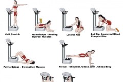 Vibration Plate Exercises & Workout Videos & Charts – Vibration Plate Info